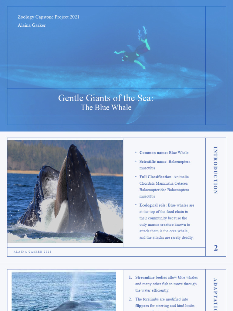 Zoology Capstone Project | PDF | Social Science | Home & Garden