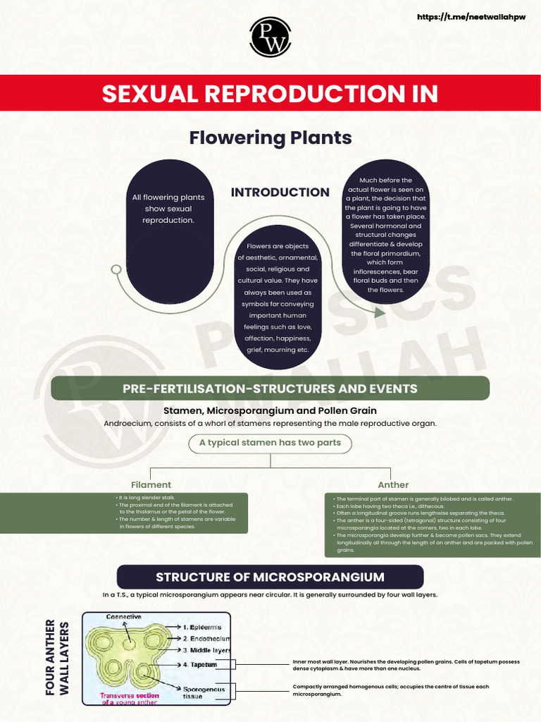 Sexual Reproduction in Flowering Plants - Mind Map - Lakshya NEET 2024 ...
