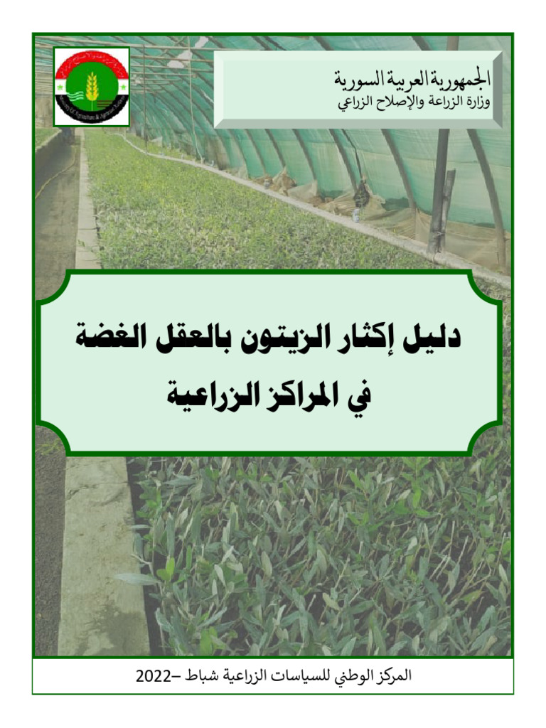 213164569954 | PDF