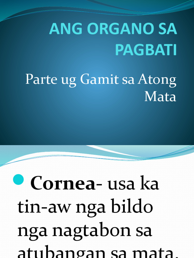 Parts of The Eyes (Bisaya) | PDF