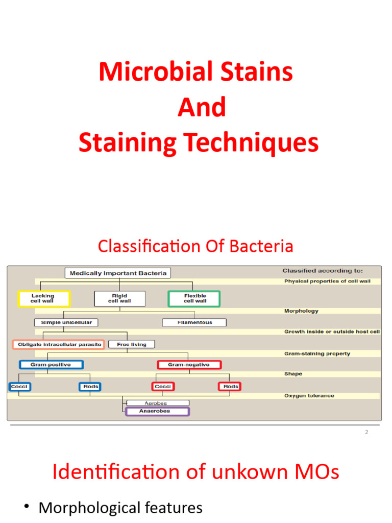 Staining Technique | PDF