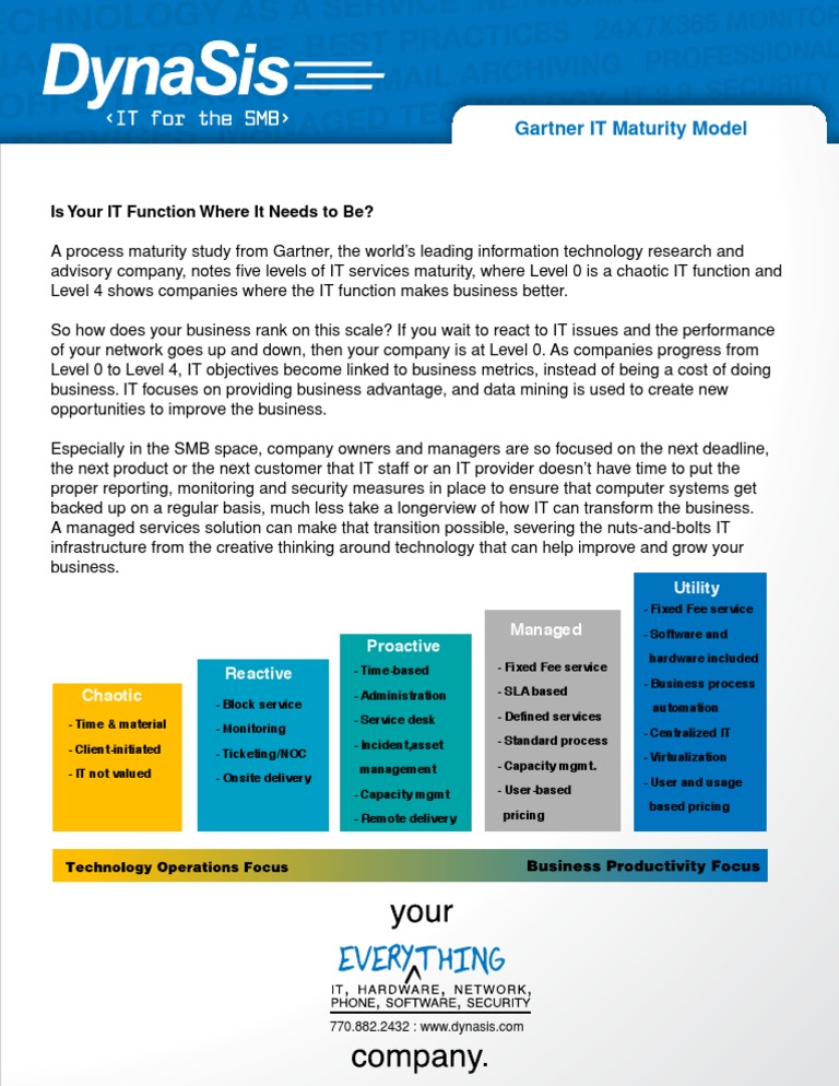 IT Services Maturity Levels Guide | PDF