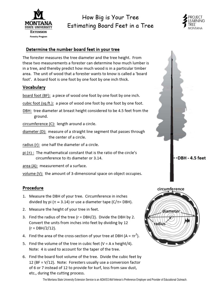 Tree Volume Calculation Guide | PDF | Foot (Unit) | Area