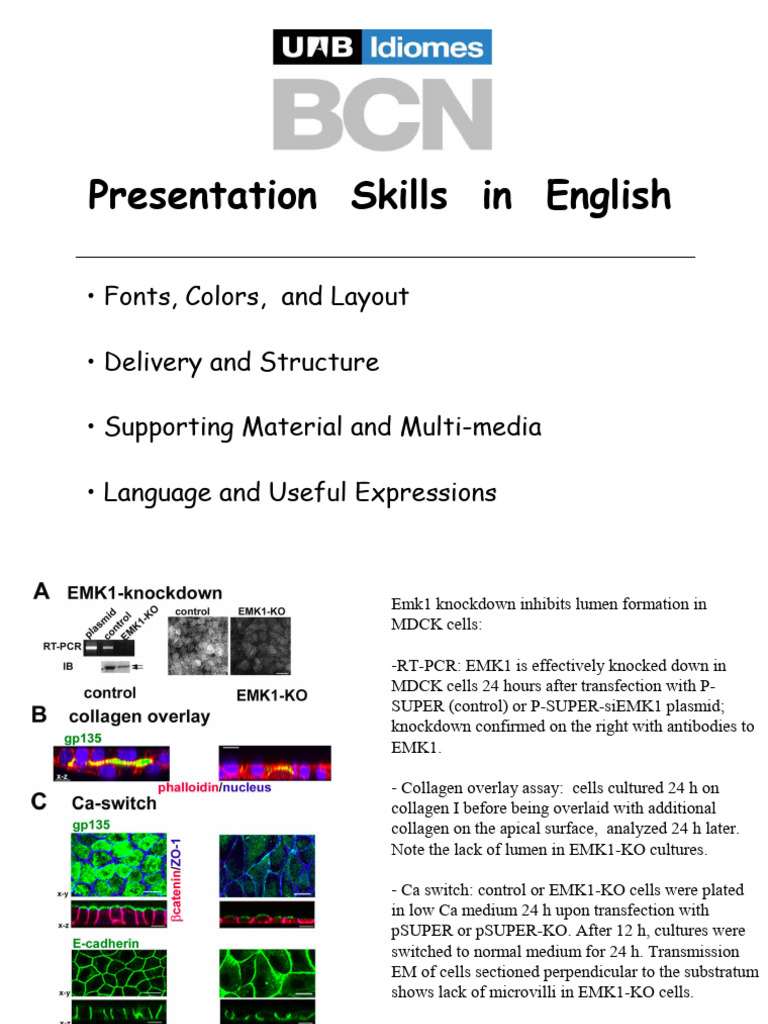 Presentation Skills in English | PDF