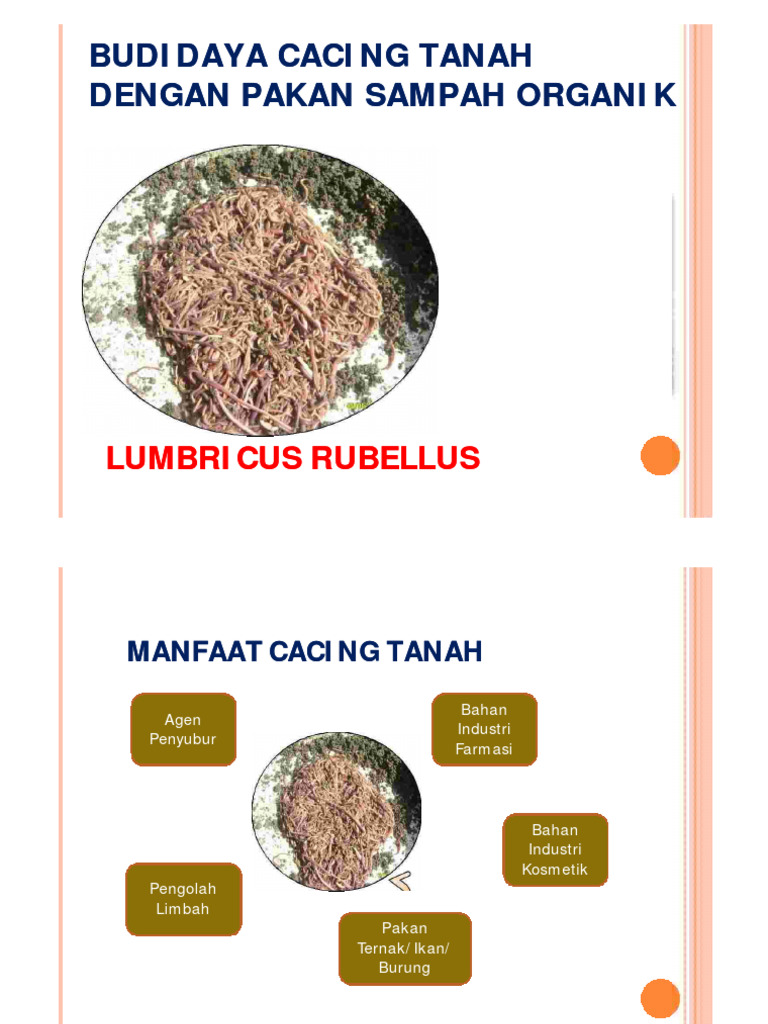 Budidaya Cacing Tanah Budidaya Cacing Ta | PDF