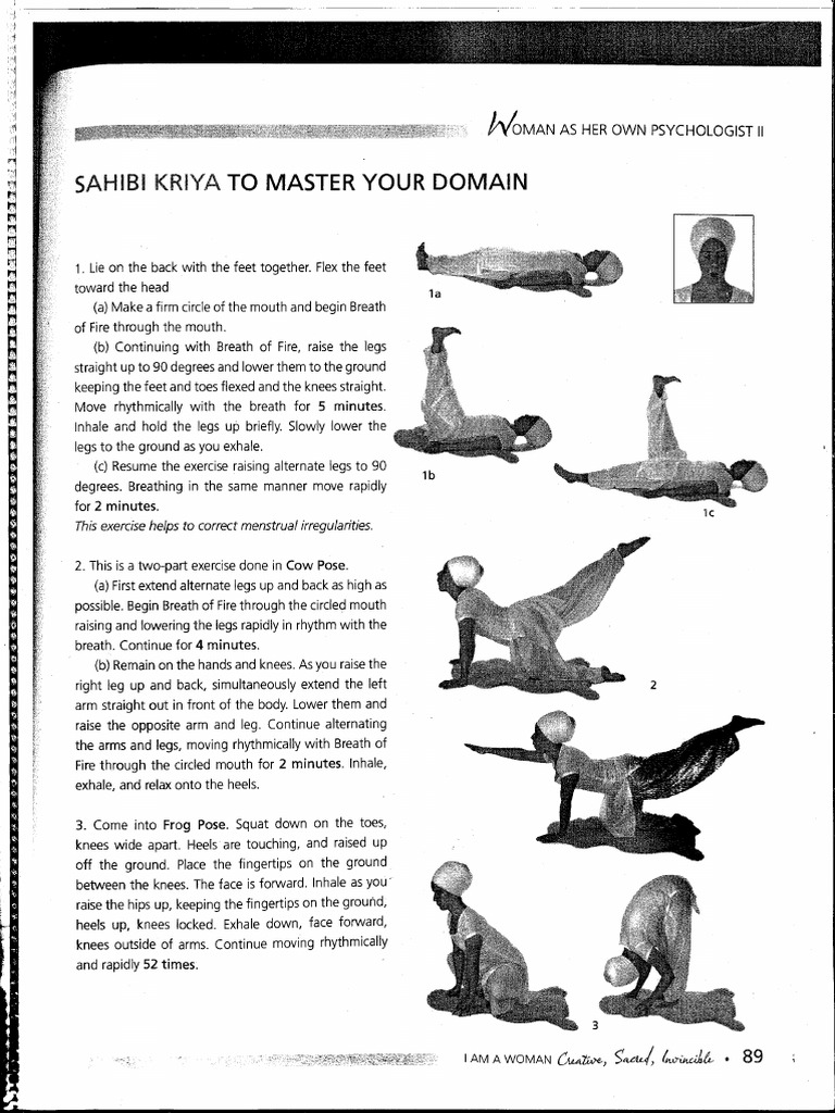 Sahibi Kriya To Master Your Domain | PDF