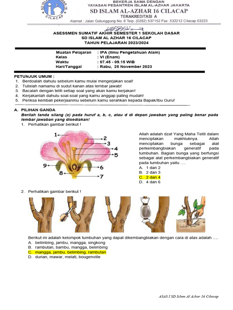 Pas 1 Ipa 2023 | PDF