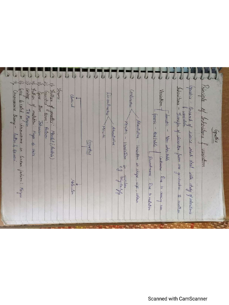 Sb2 Xii Bio Mod1 | PDF