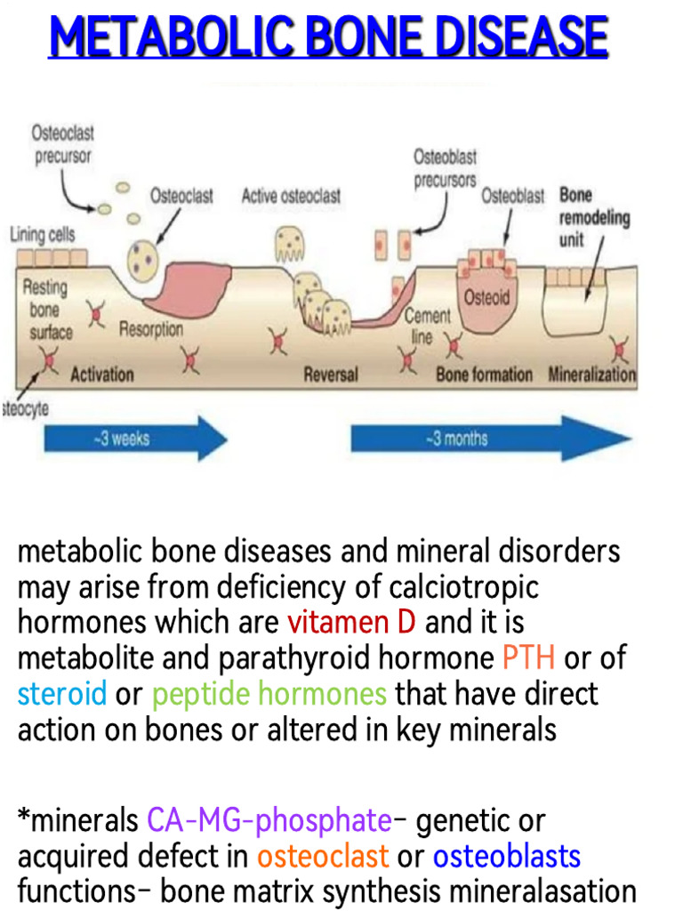 Metabolic Bone Diseases | PDF