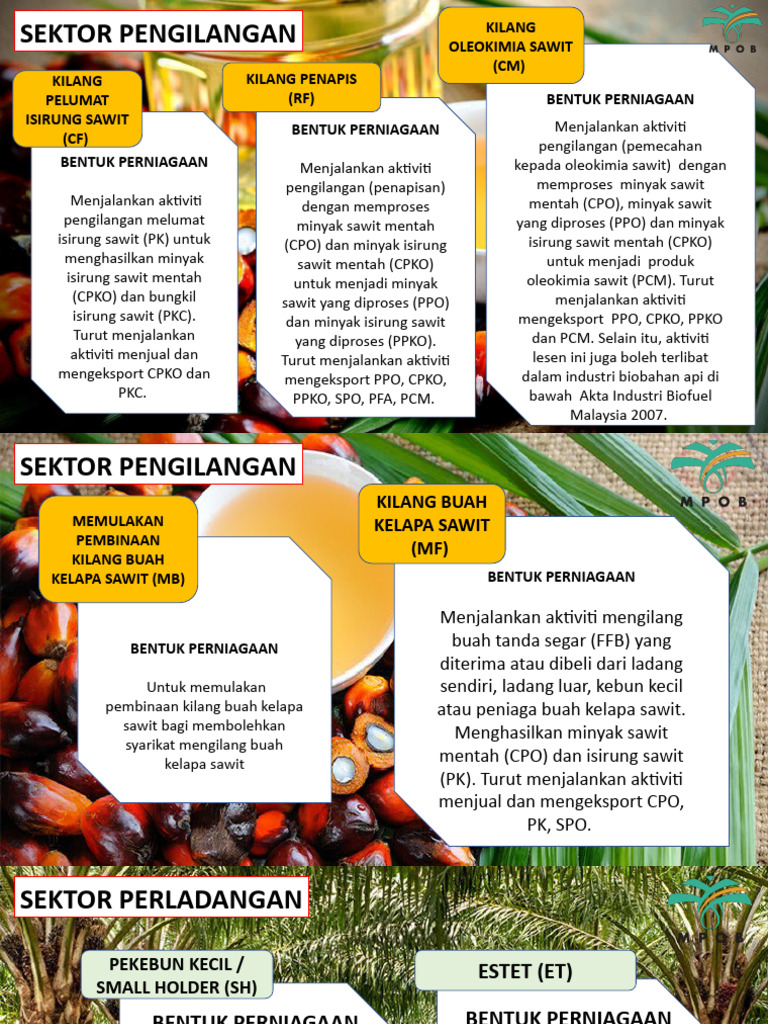 Bentuk Lesen | PDF