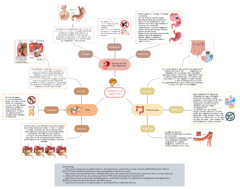 Endoscopia y Colonoscopia: Guía Completa | PDF