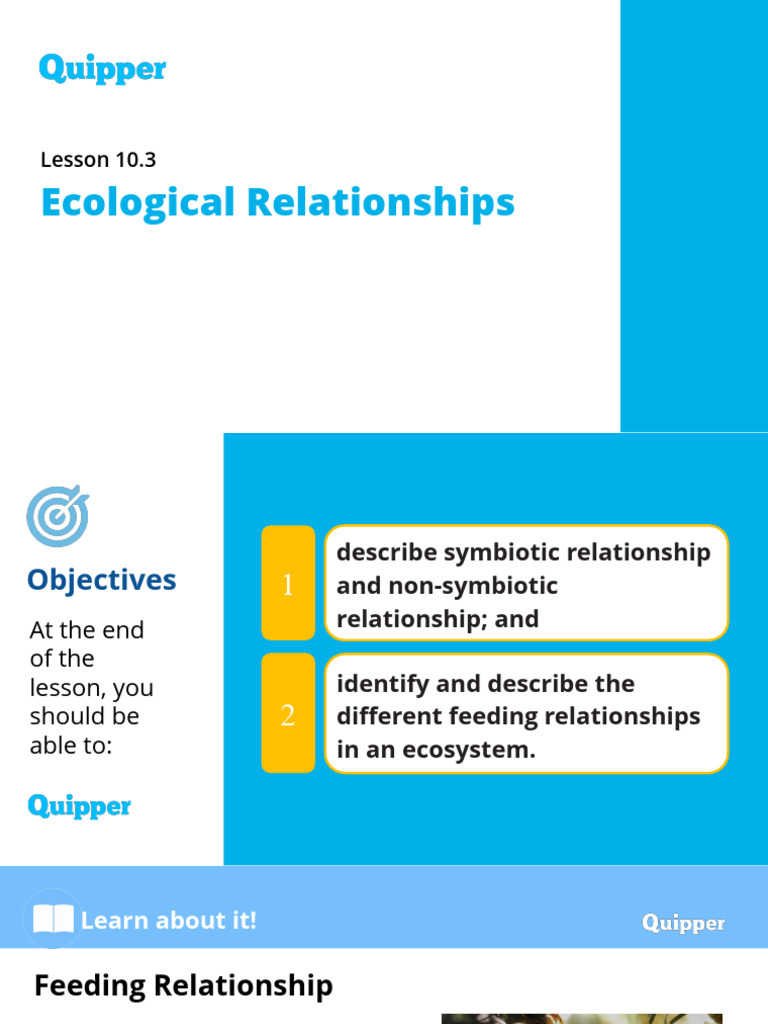 Ecological Relationships and Feeding Types | PDF