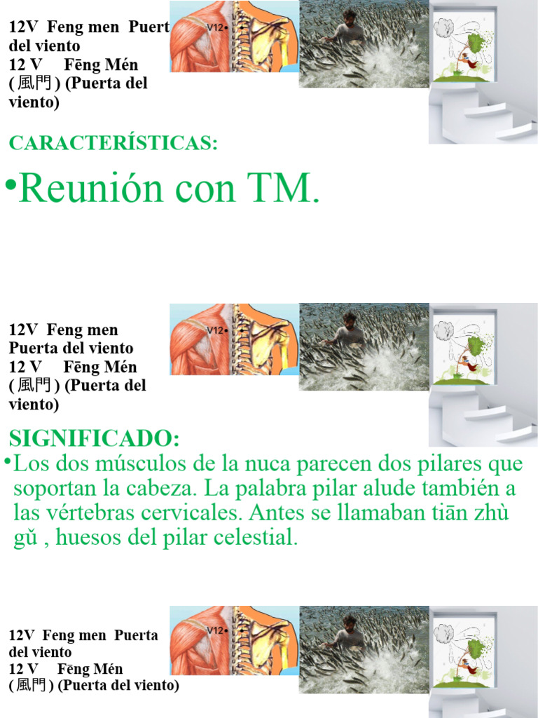 Puntos de Acupuntura Feng Men | PDF | Salud y bienestar