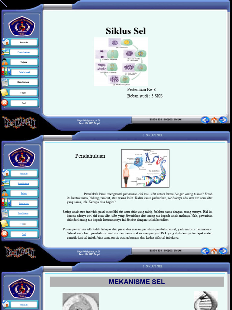 BioDas1-07. Siklus Sel - Bayu UPS 2020 | PDF