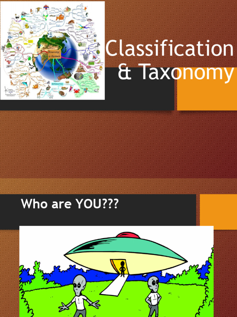 Classification Lecture 1 | PDF
