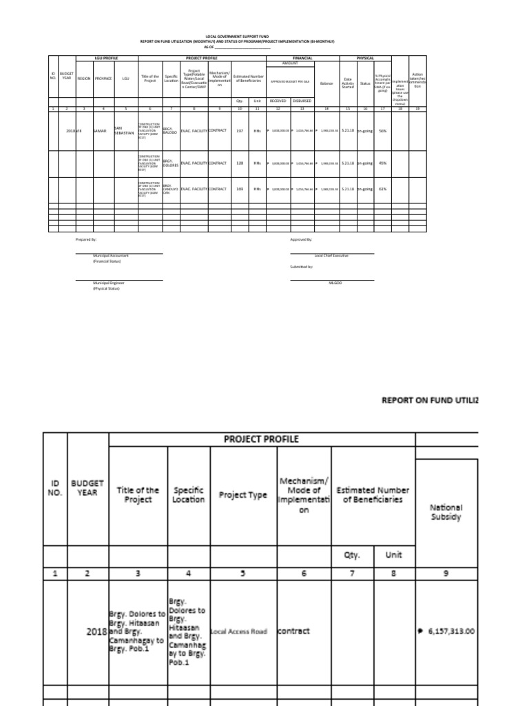 Annex e Dilg Report | PDF