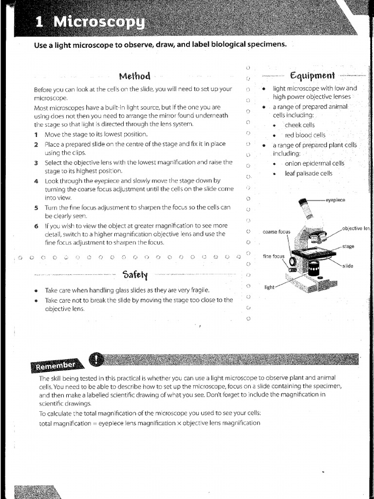 Microscopy Required Prac 2 | PDF