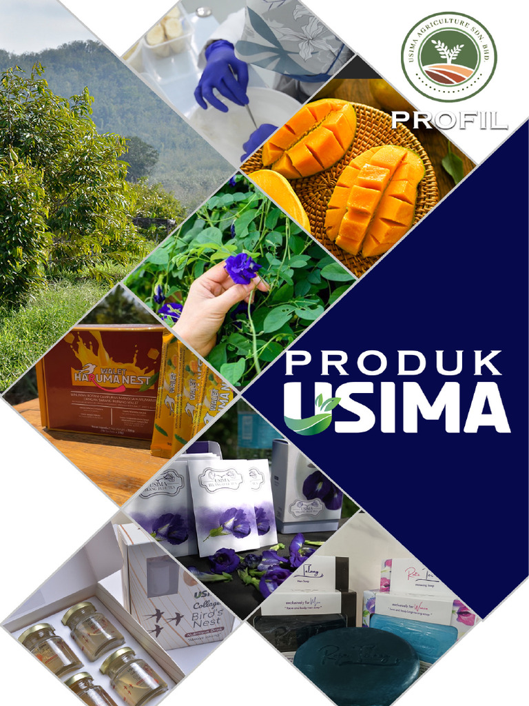 Profail Syarikat | PDF