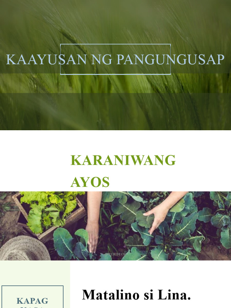Kaayusan Ng Pangungusap | PDF