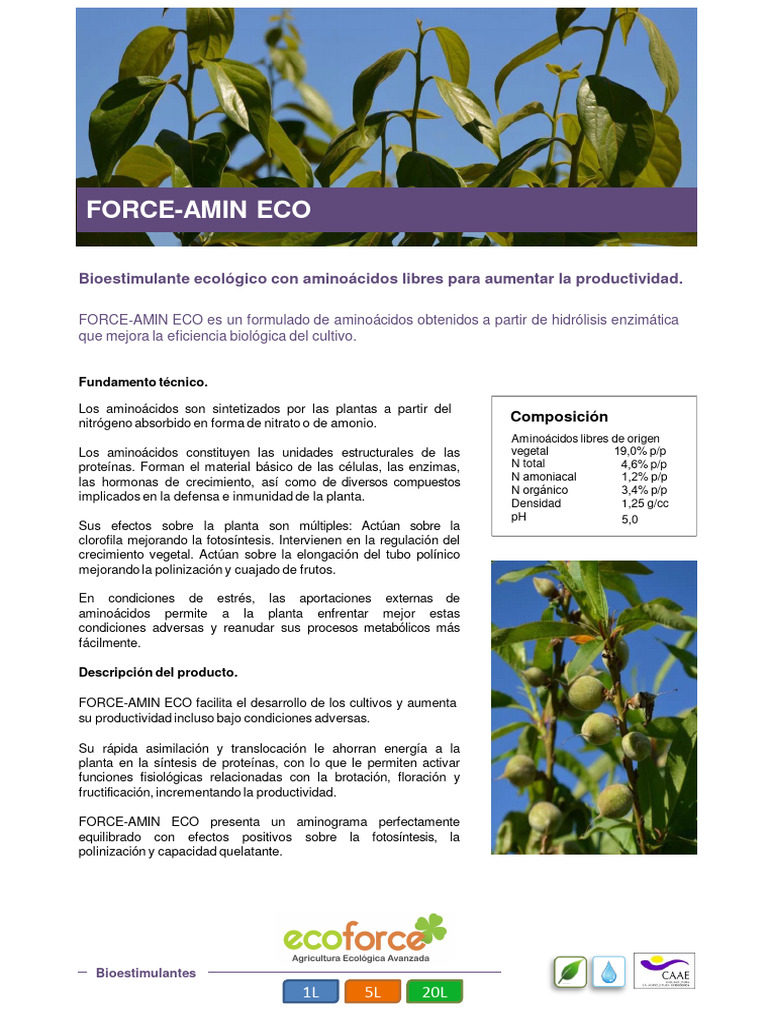 Force-Amin Eco | PDF
