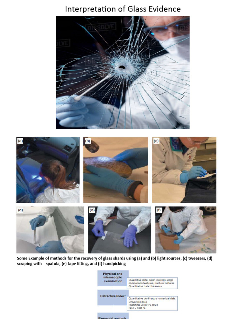 Interpretation of Glass Evidence (Elemental Analysis) | PDF