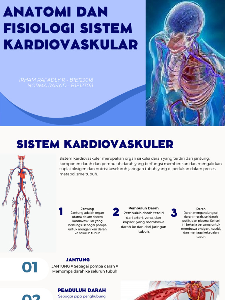 Anatomi Dan Fisiologi Sistem Kardiovaskular | PDF
