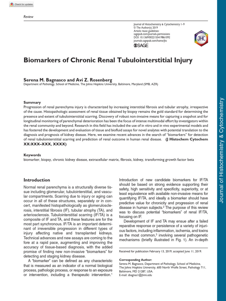 Biomarkers of Chronic Renal Tubulointerstitial Injury | PDF