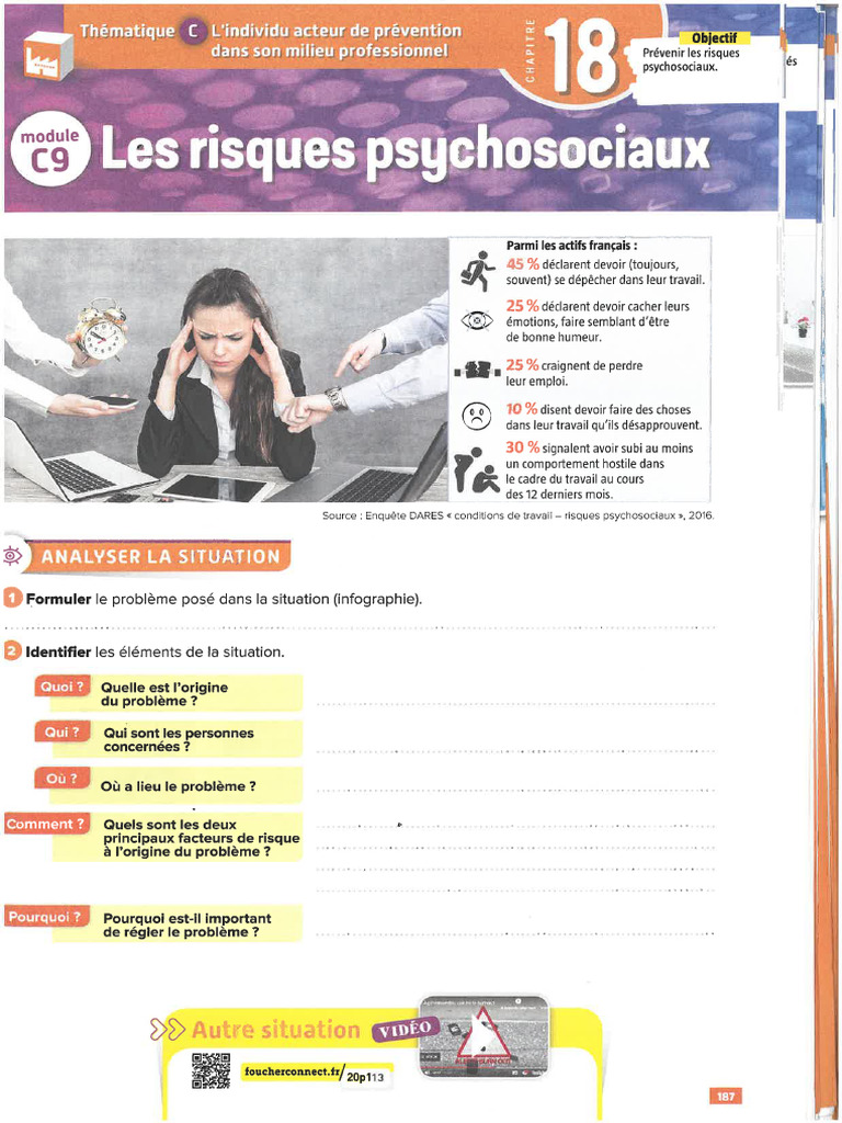 Les Risques Psychosociaux - Cours | PDF