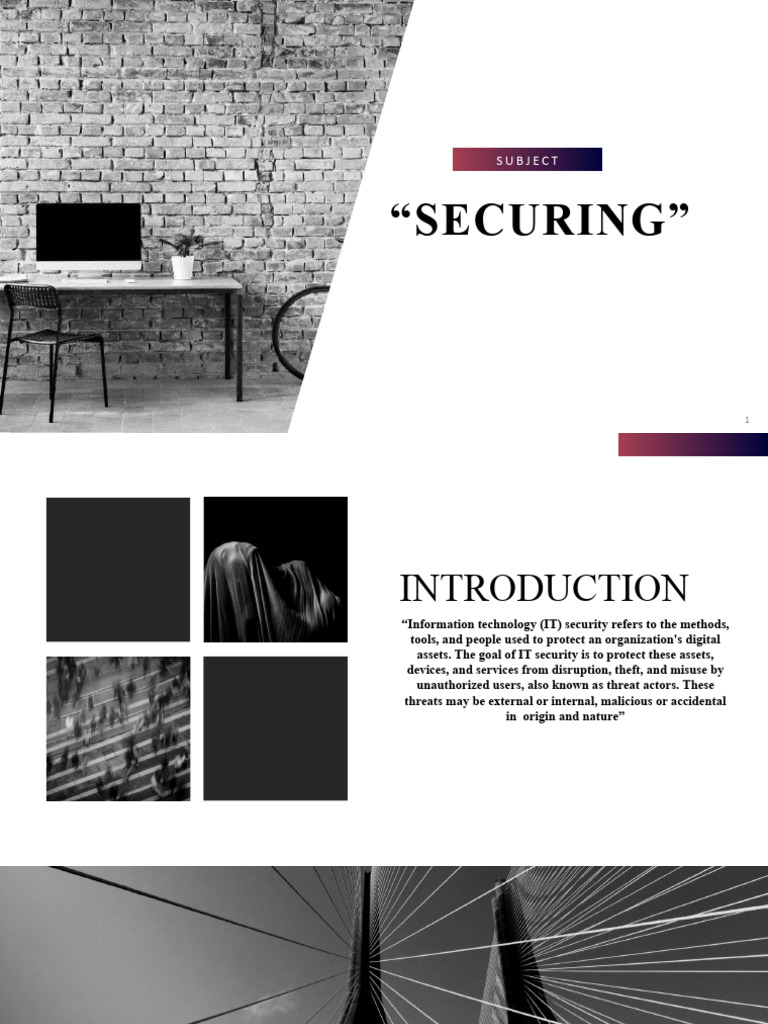 SECURING Project | PDF | Security | Computer Security