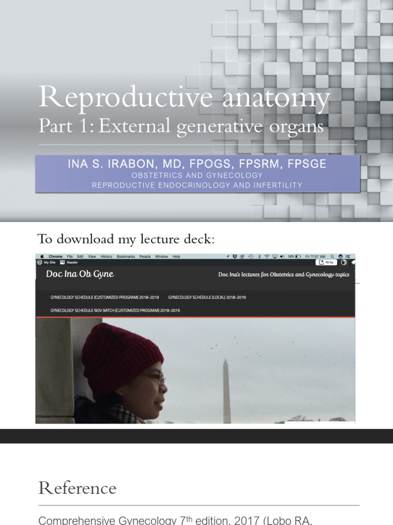 Reproductive Anatomy External Genitalia 1 | PDF