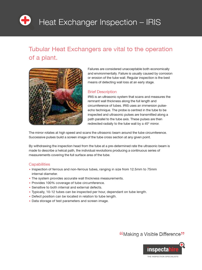 Iris Inspection | PDF