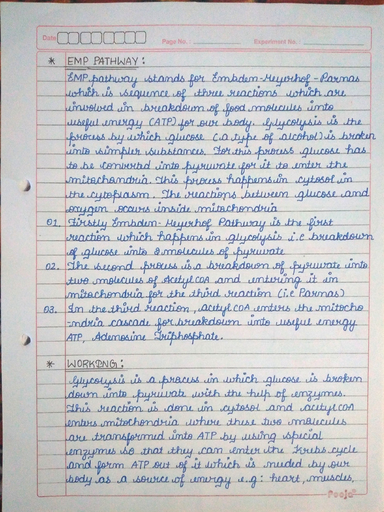 Pathways Charts 15-Aug-2023 06-11-24 | PDF