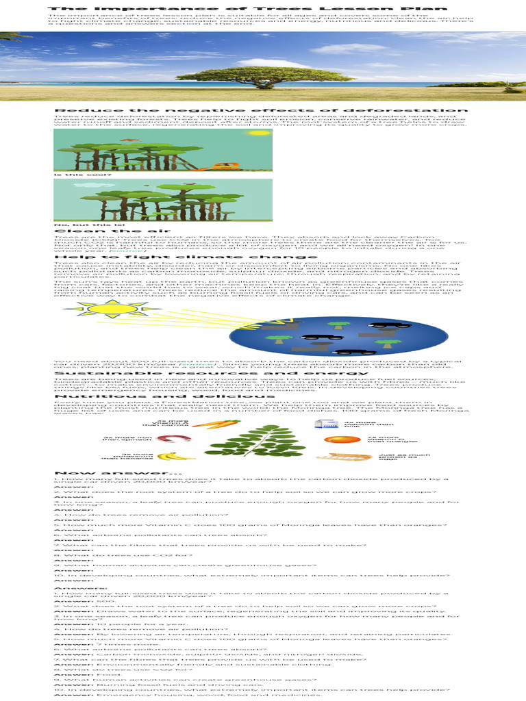 Importance of Trees Lesson Plan ForestNation | PDF