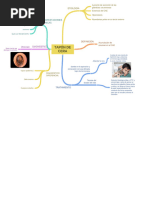 Cerumen Impactado | PDF | Tinnitus | Oído