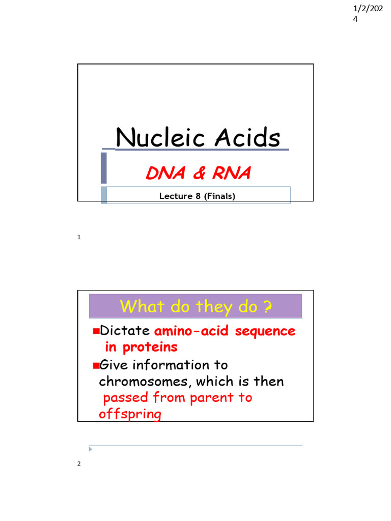 Nucleic Acid | PDF