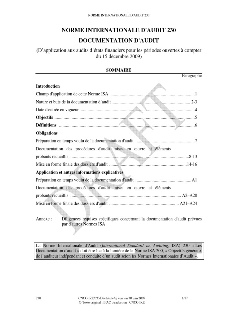 ISA 230 - Version 30 Juin 2009 | PDF