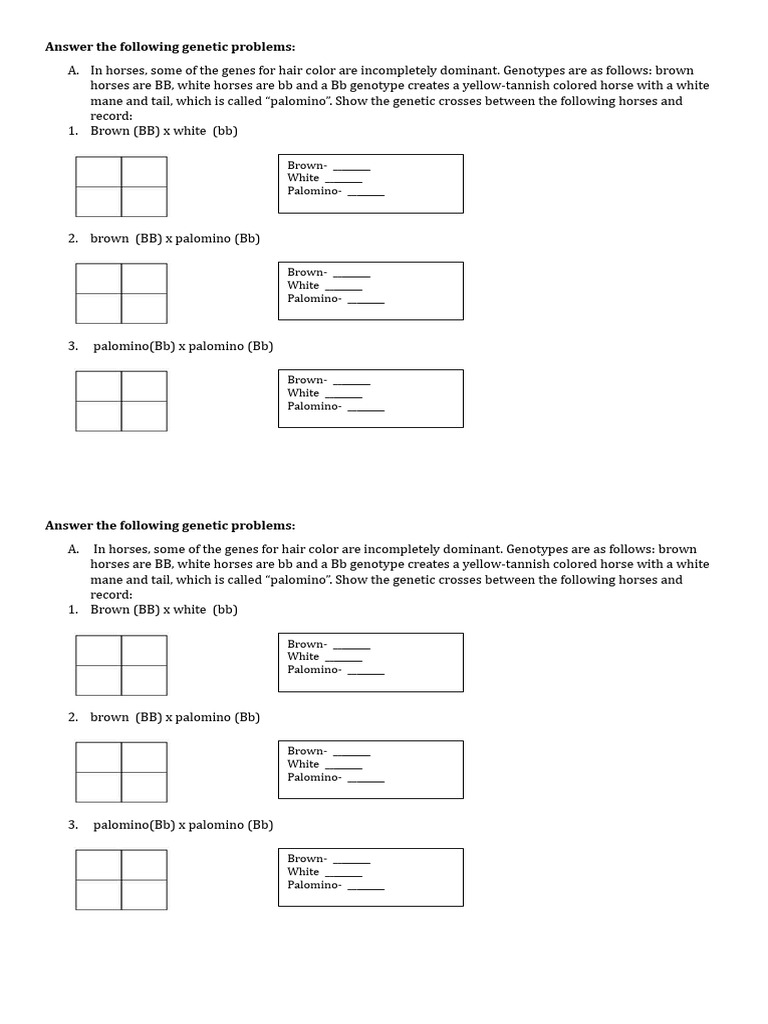 Answer The Following Genetic Problems | PDF