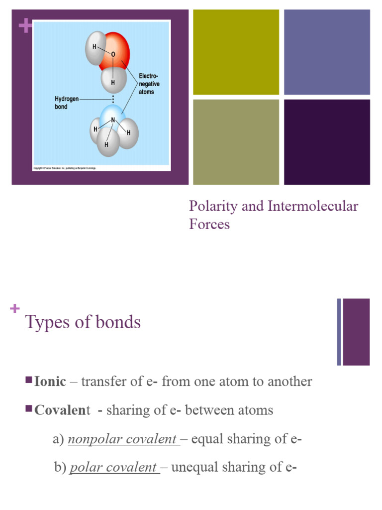 Understanding Polarity and Intermolecular Forces | PDF | Science ...