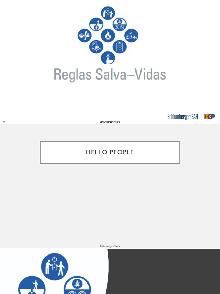 Reglas Salva-Vidas | PDF