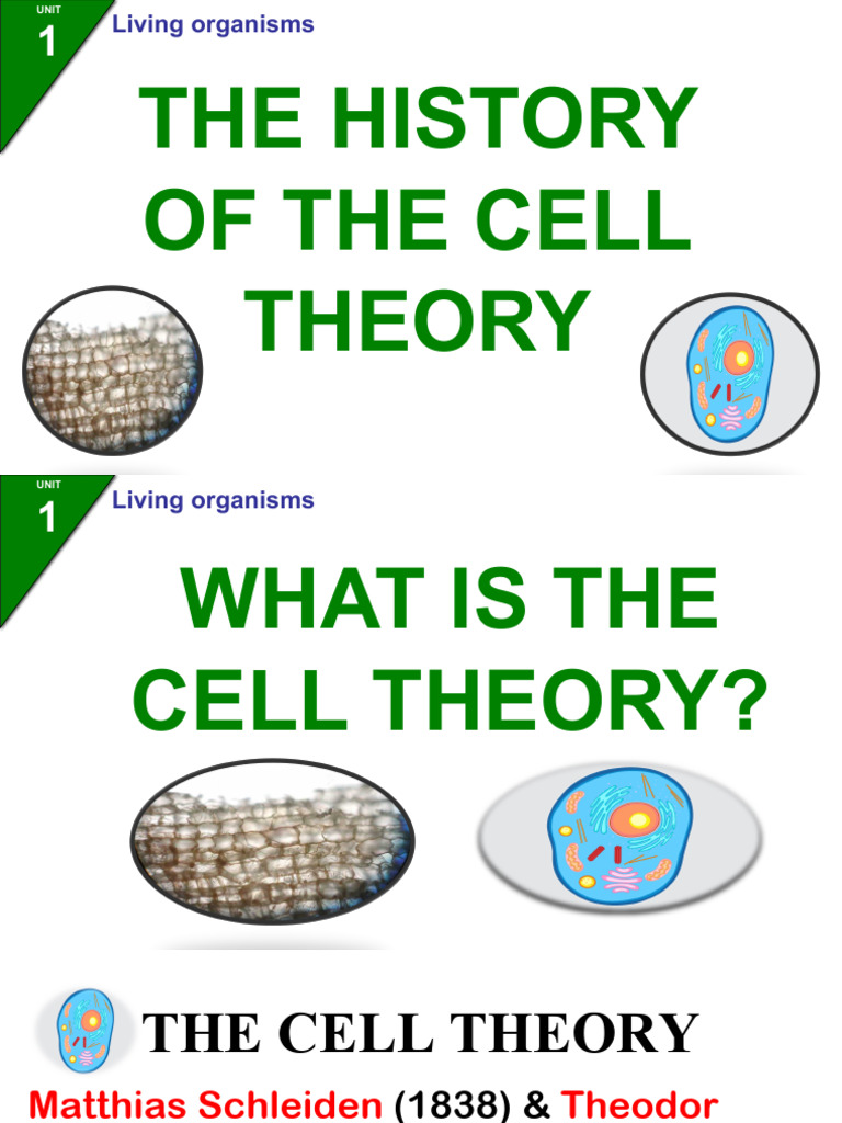 Lesson - 1 - Cell Discovery and Theory | PDF