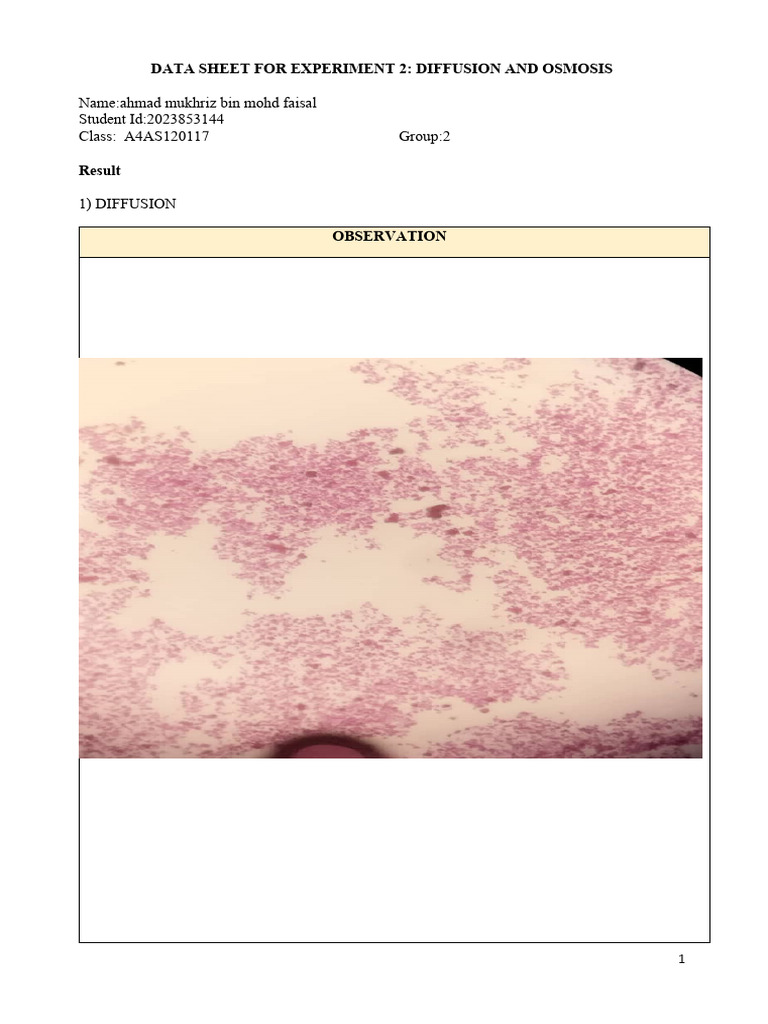 2.2 Data Sheet For Experiment 2 - Diffusion and Osmosis (For Students) | PDF
