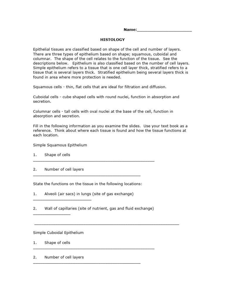 Epithelial Worksheet | PDF | Epithelium | Anatomy