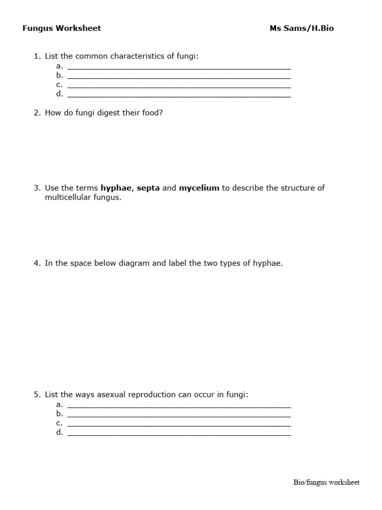 Fungus Worksheet | PDF
