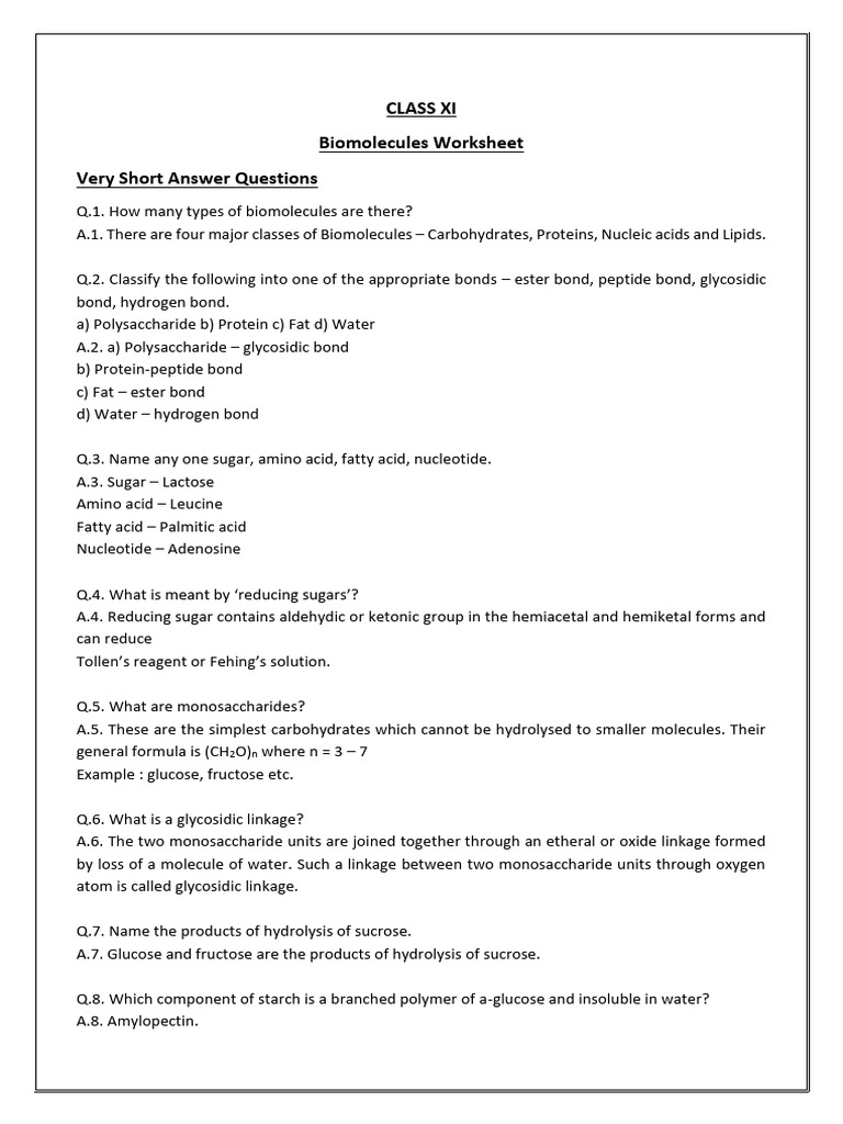 Biomolecules Worksheet 1 | PDF | Hydrolysis | Nucleotides
