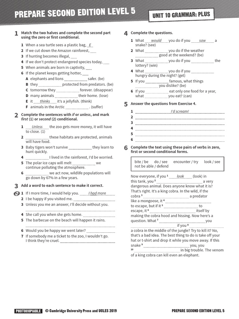 PREPARE 5 Grammar Plus Unit 10 | PDF