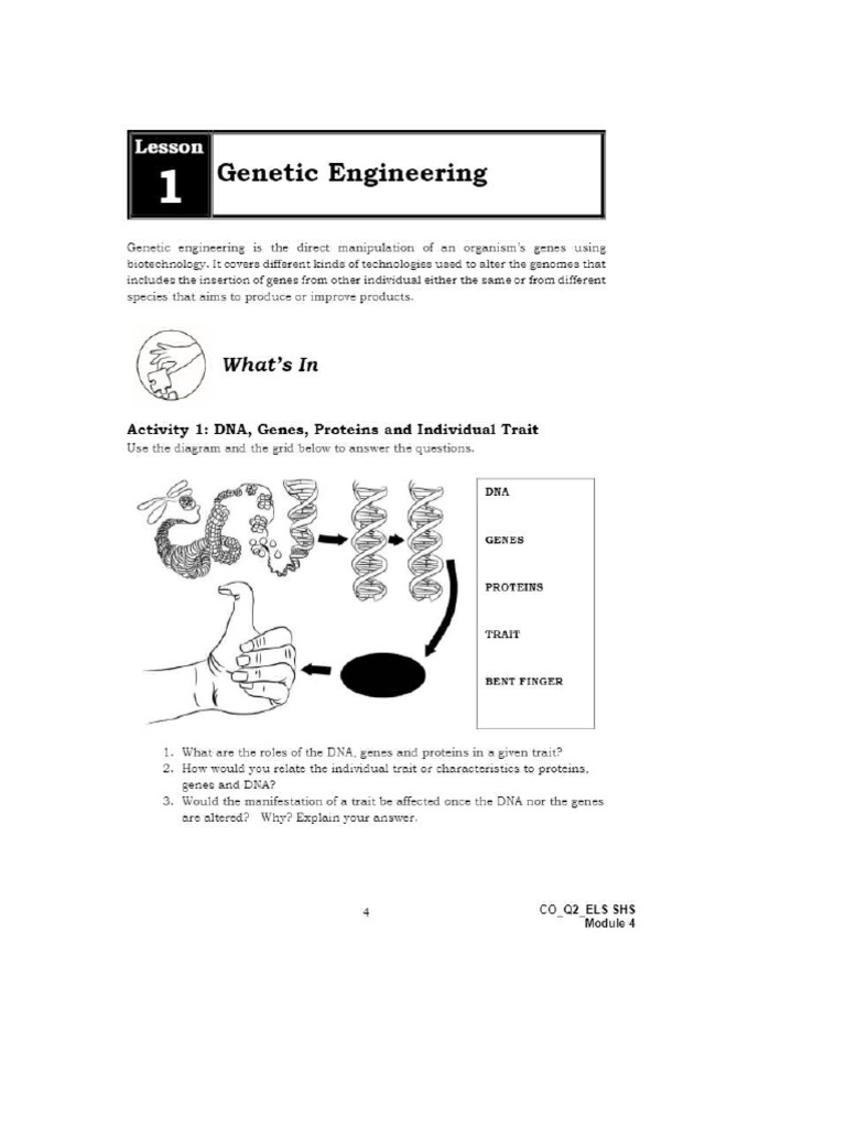 2q Els Module 4 | PDF