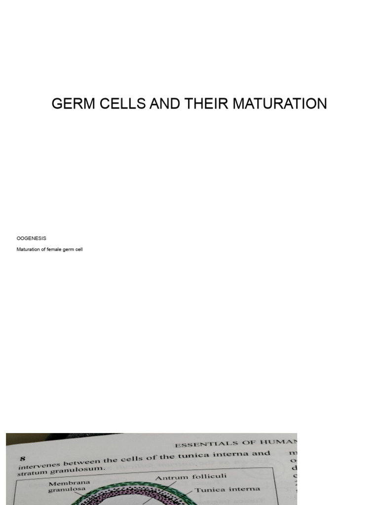 Germ Cell Maturation: Oogenesis & Spermatogenesis | PDF