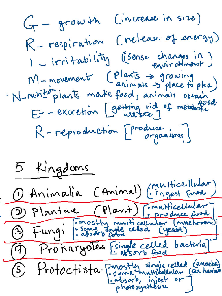 CSEC Biology Notes Characteristics of Living Things | PDF