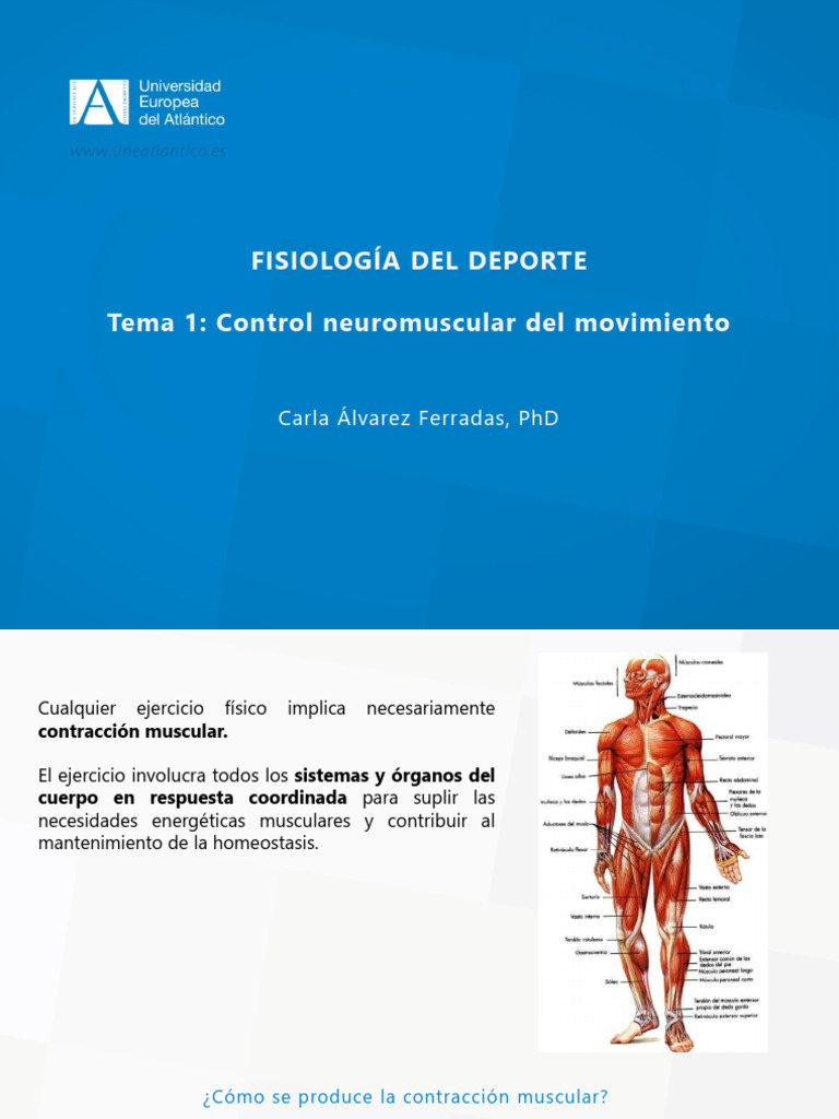 Tema 1 - Control Neuromuscular 1 - 2023 | PDF