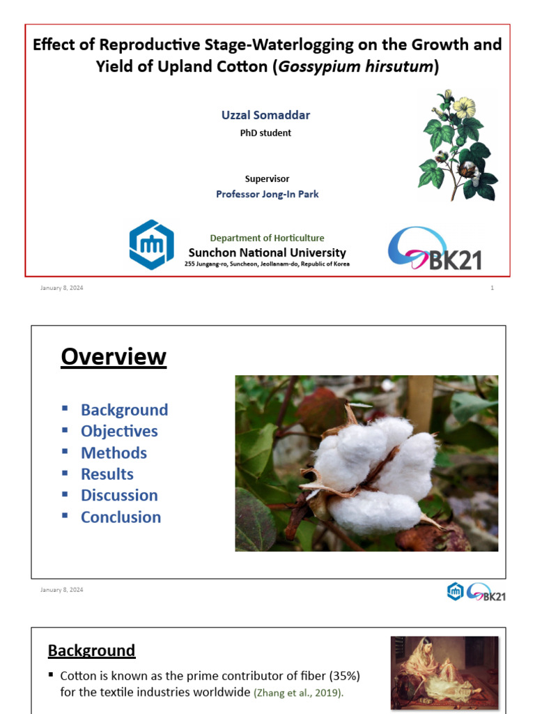 BK Presentation - Uzzal Somaddar | PDF